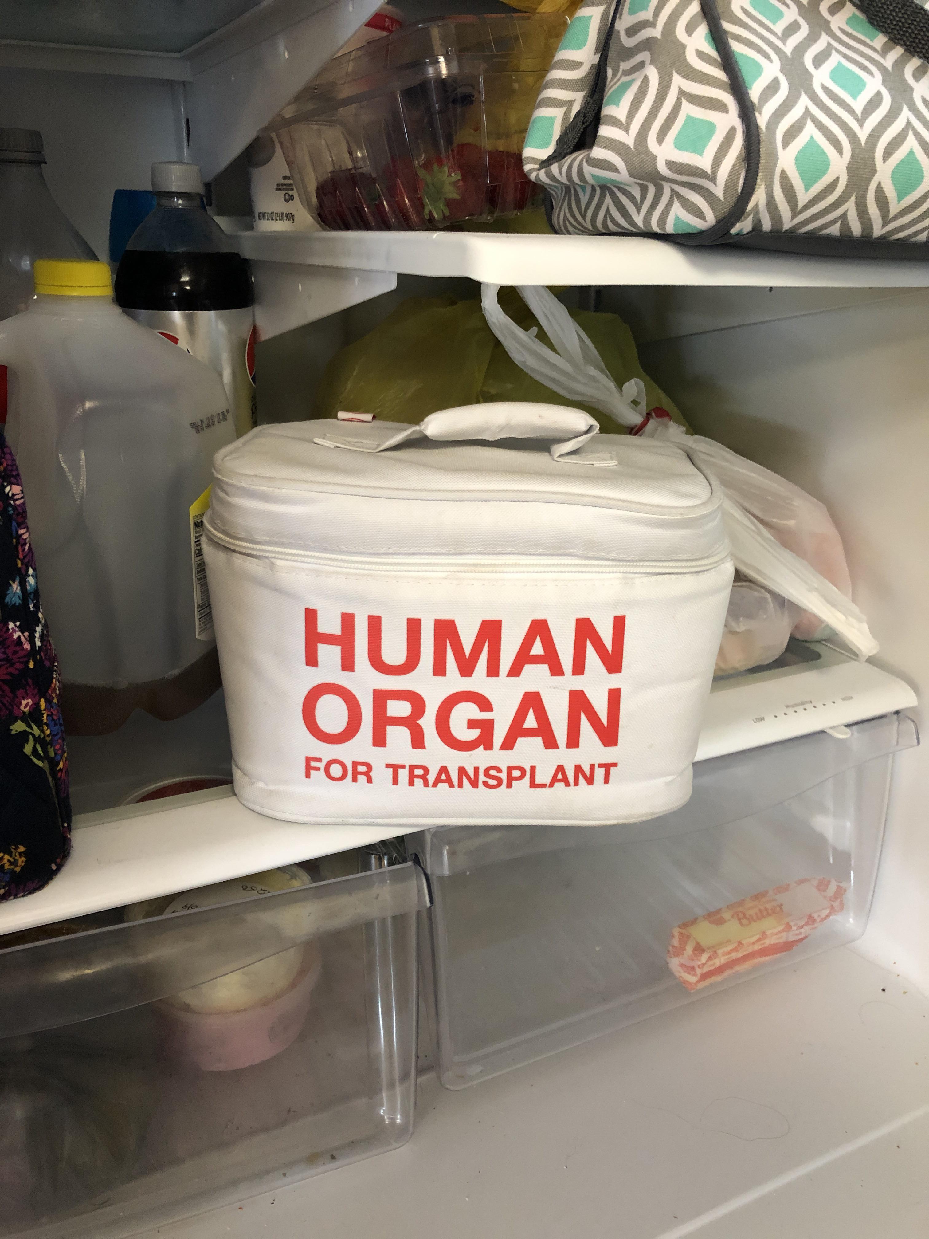 This lunchbox in the fridge at work | r/mildlyinteresting | Mildly ...