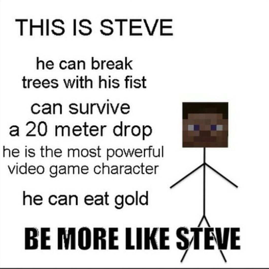 be more like steve | r/MinecraftMemes | Minecraft | Know Your Meme