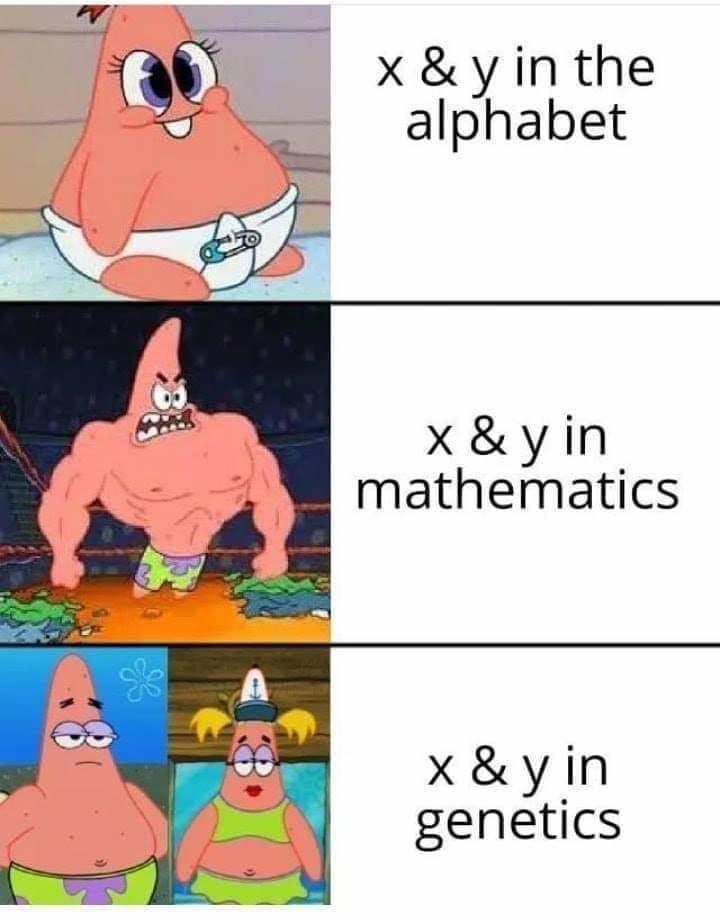 It do be like that | r/BikiniBottomTwitter | Increasingly Buff ...