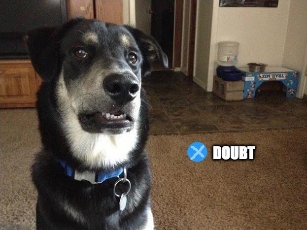 Press y to sniff butt | L.A. Noire "Doubt" / Press X To Doubt | Know ...