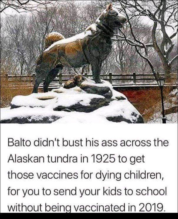 RIP Balto you Legend! | r/wholesomememes | Wholesome Memes | Know Your Meme