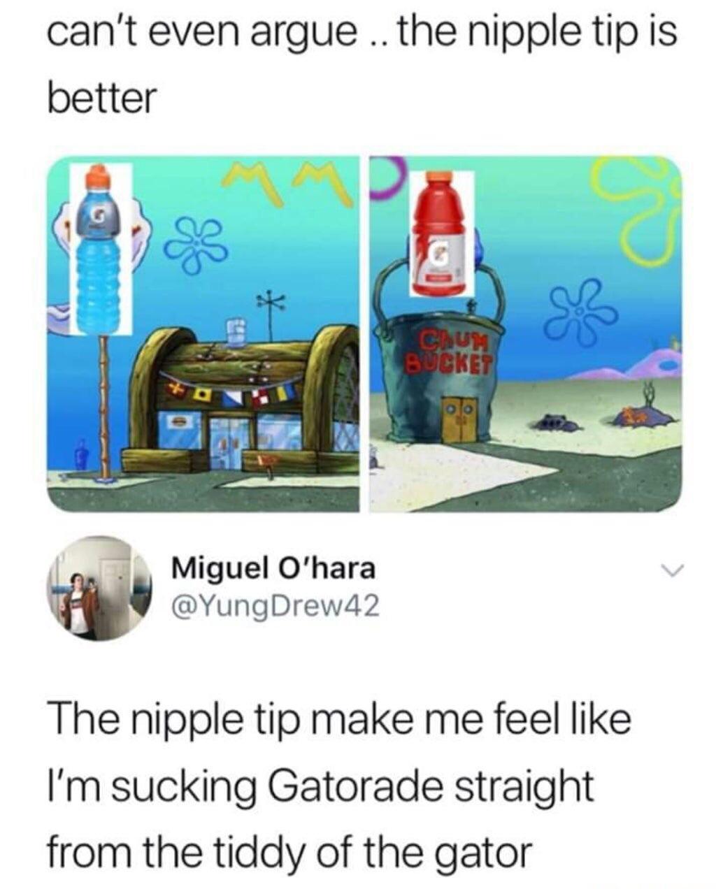 The nip tip | r/BikiniBottomTwitter | SpongeBob SquarePants | Know Your ...
