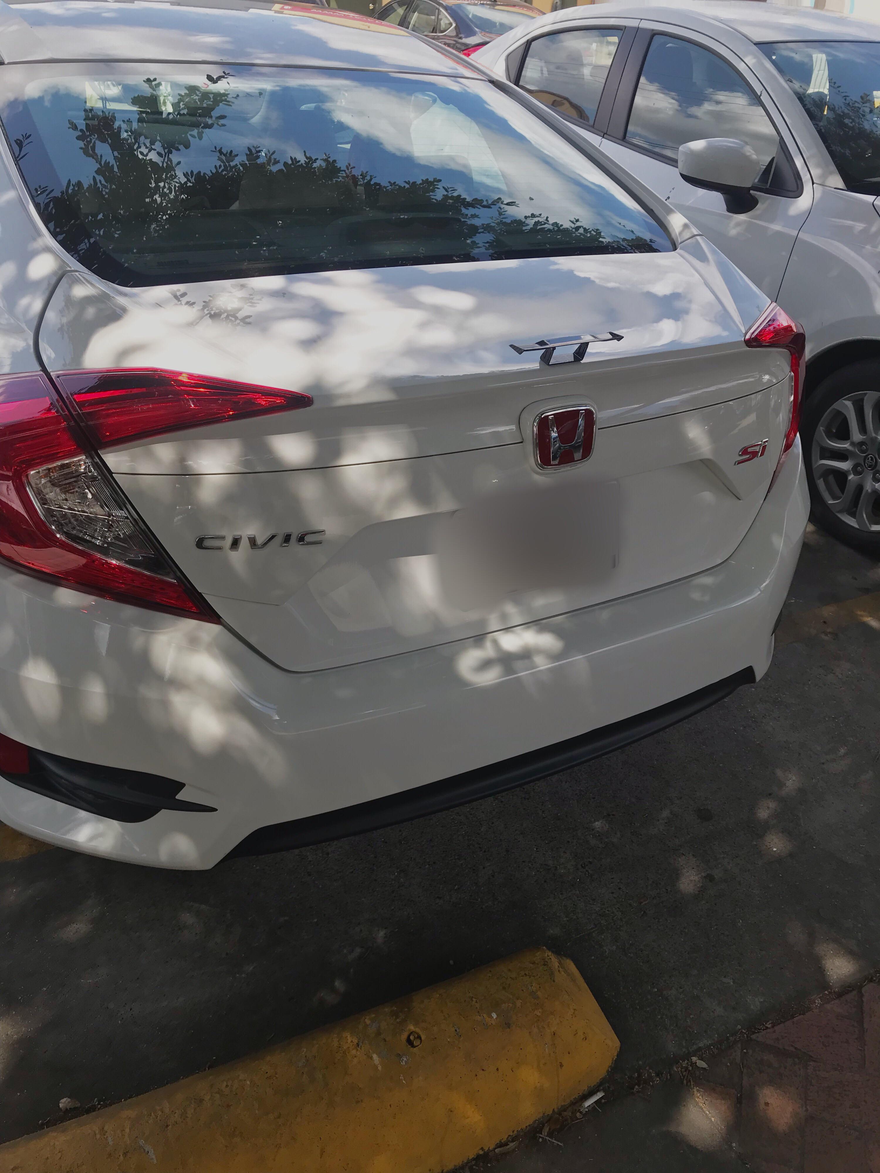 The Spoiler On This Car | r/mildlyinteresting | Mildly Interesting ...