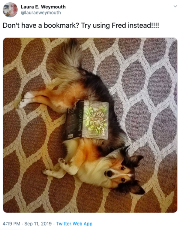 Don't have a bookmark? Try using Fred instead!!!! | Don't Have a ...