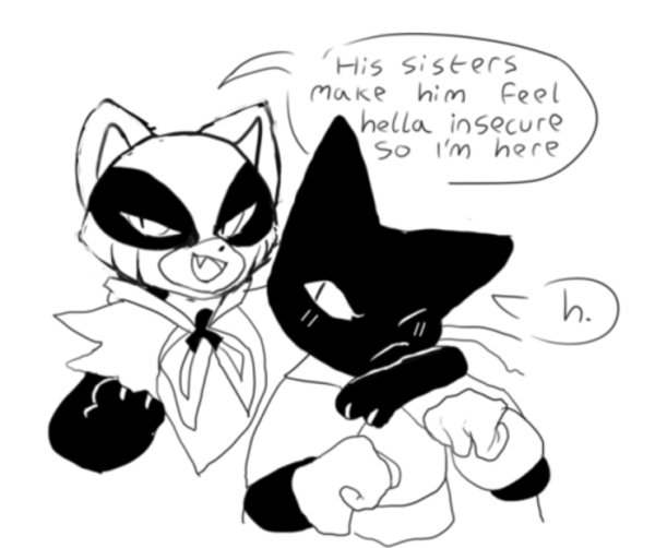 emotional support tanuki | Cartoon Network | Know Your Meme