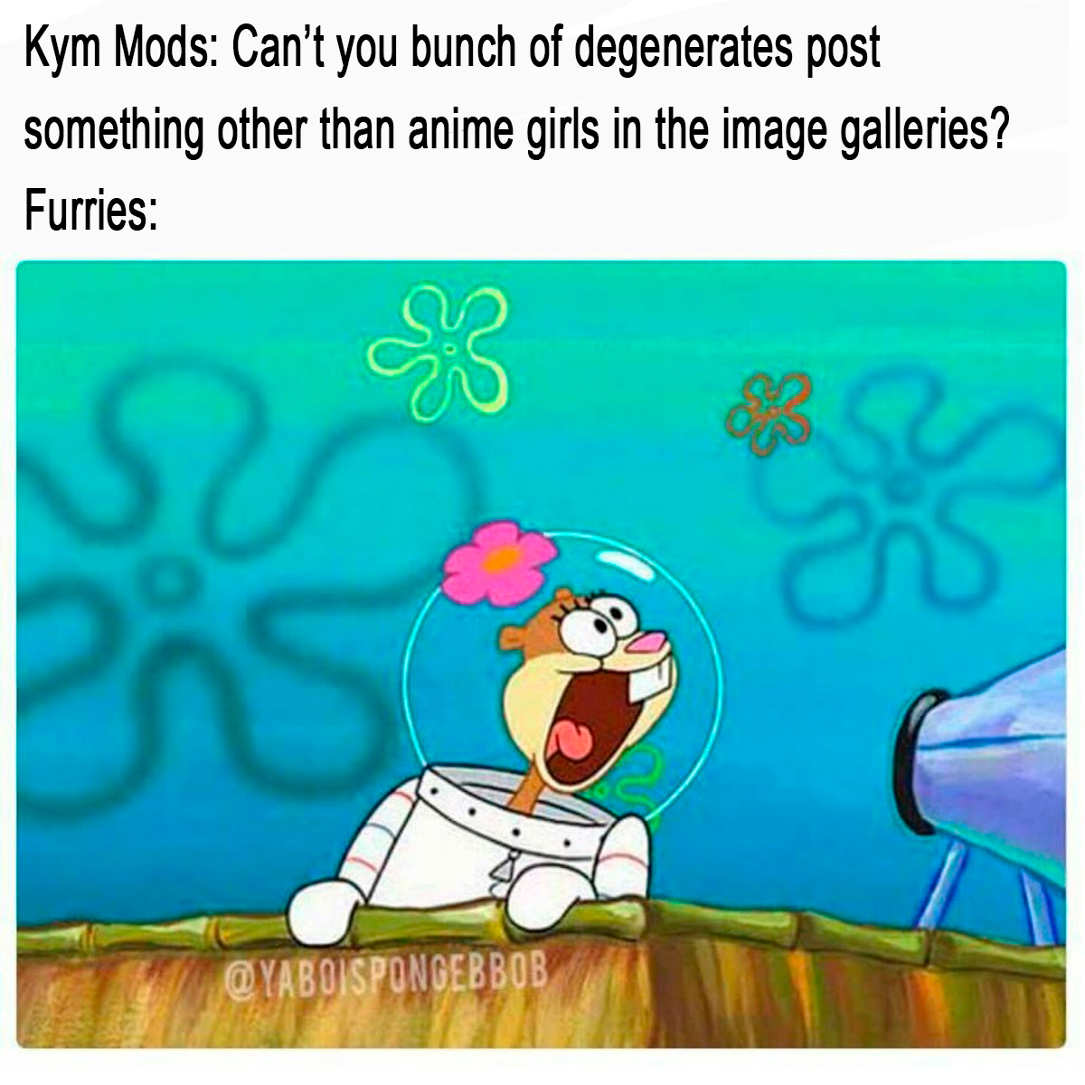 Seeing a new trend in here | Know Your Meme | Know Your Meme