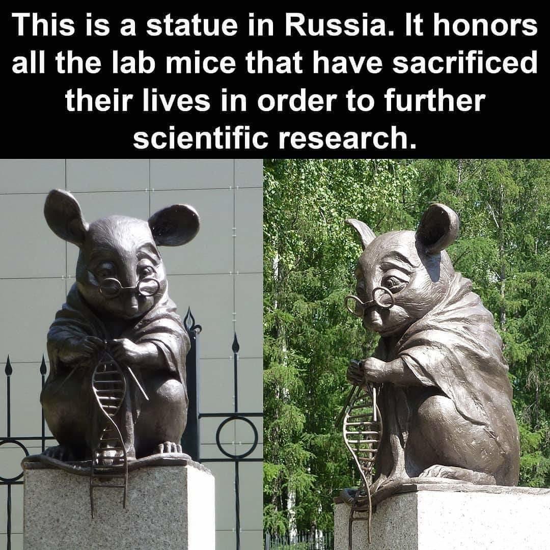 A wholesome acknowledgement. | r/wholesomememes | Wholesome Memes ...