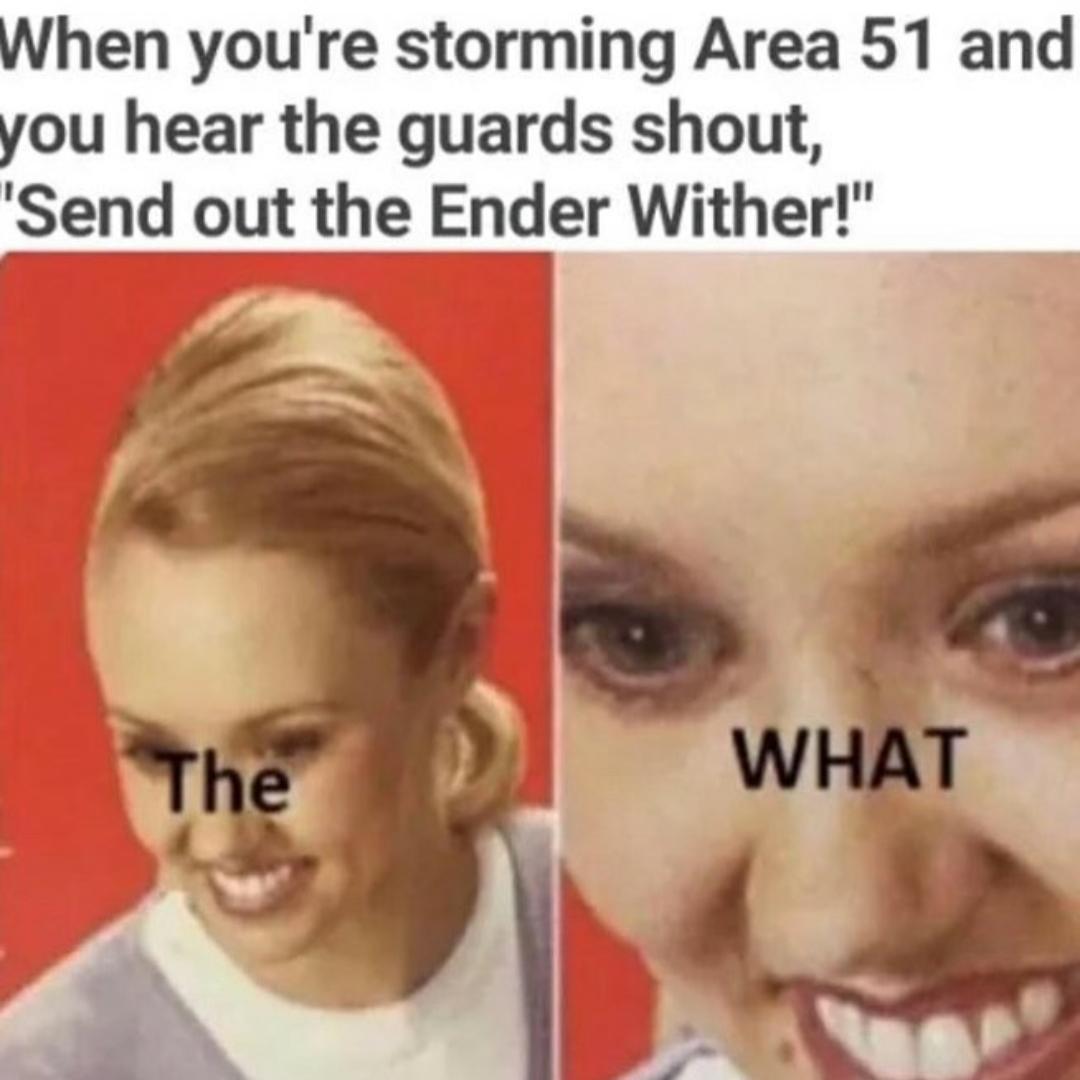 Yo we gotta fight the ender wither | r/MinecraftMemes | Minecraft ...