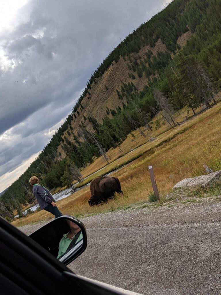 Yellowstone PSA - Bison can kill you. Idiot! | /r/MildlyInfuriating ...