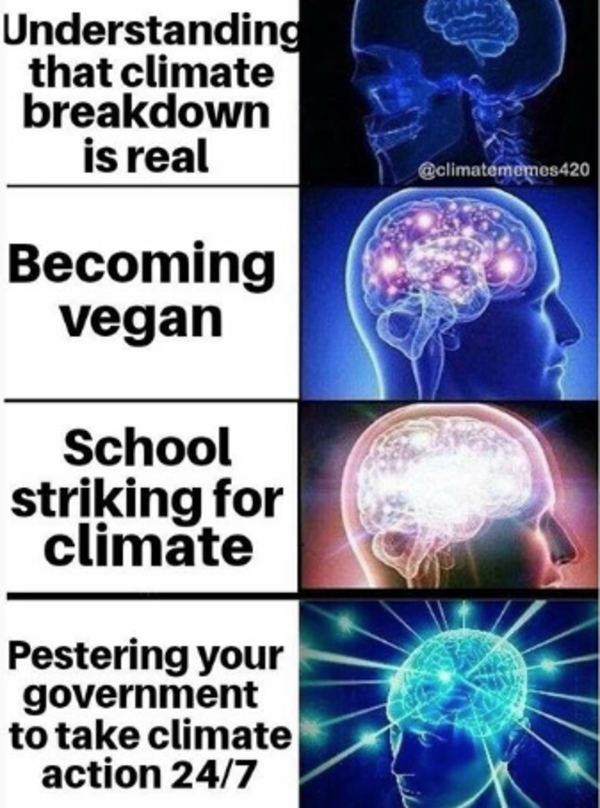 Pestering your government | Global Climate Strike | Know Your Meme
