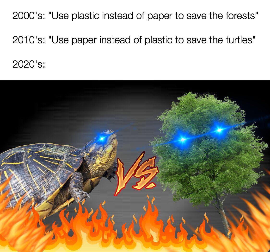 A Showdown | Save The Turtles | Know Your Meme