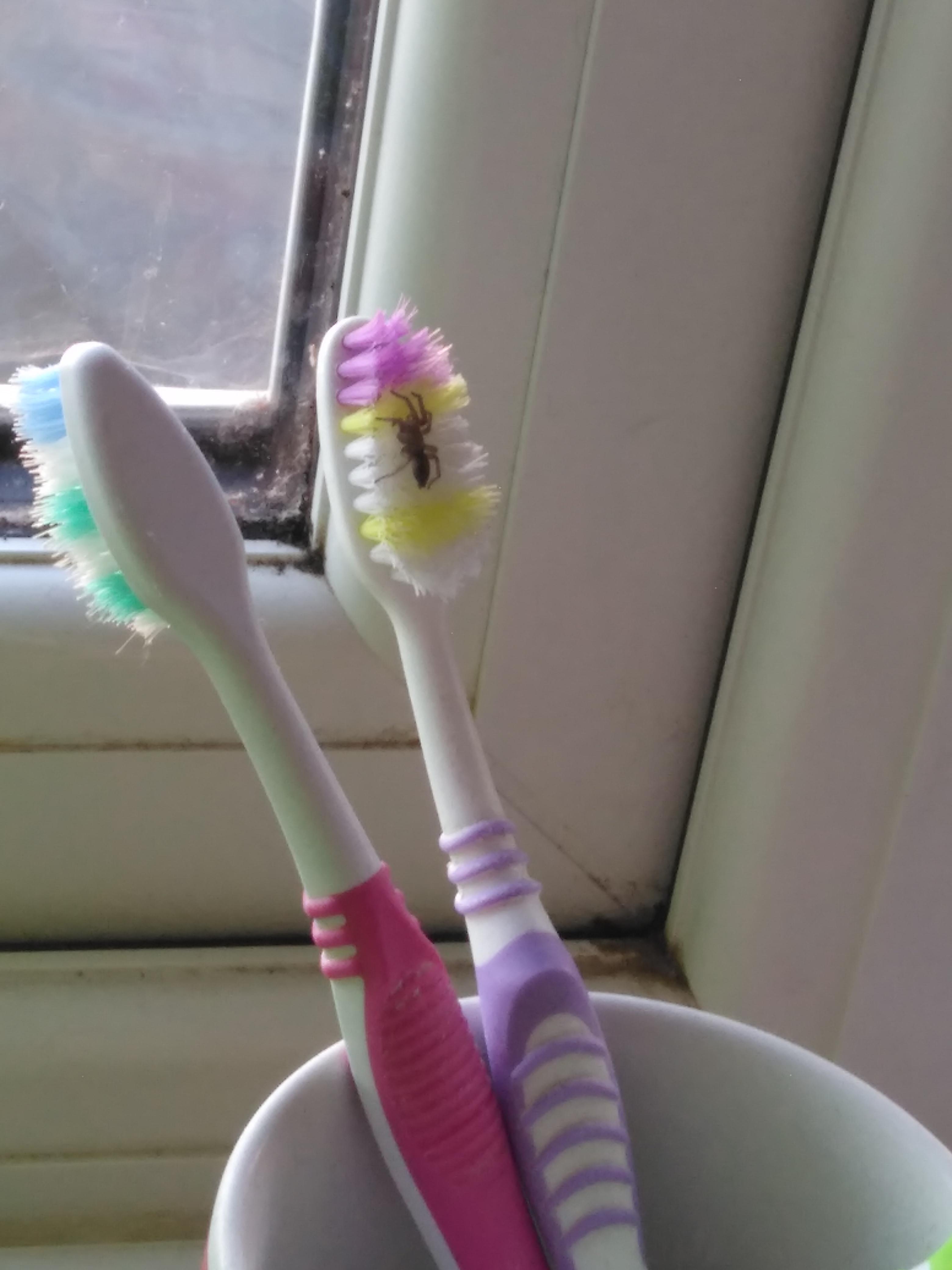 Don't know if it belongs here but this certainly isn't what I wanted to ...