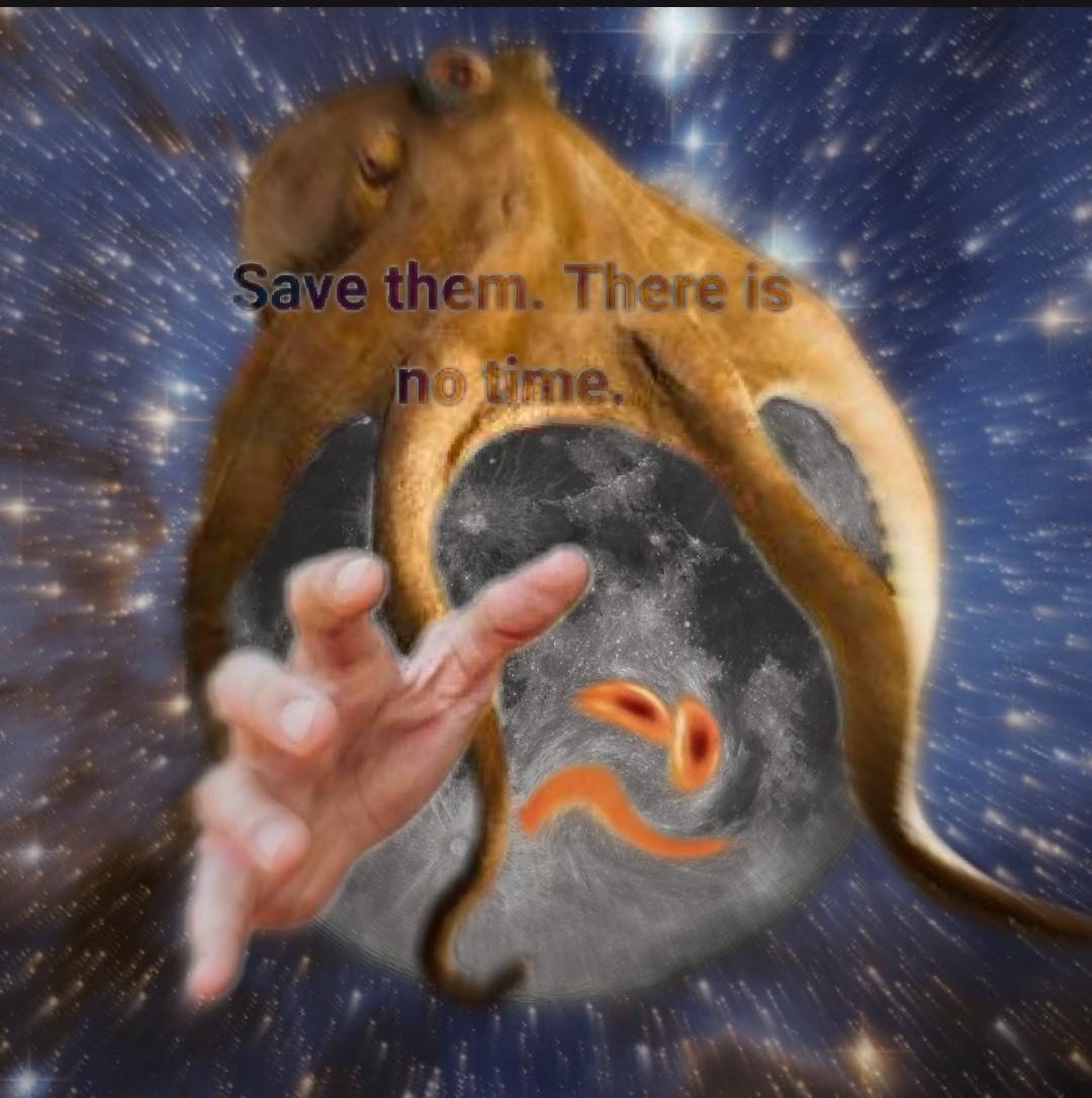 quickly. | r/surrealmemes | Surreal Memes | Know Your Meme