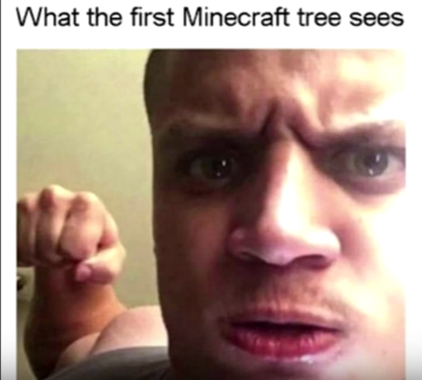 | r/MinecraftMemes | Minecraft | Know Your Meme