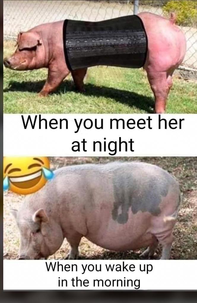 Facebook fodder | r/ComedyCemetery | Comedy Cemetery | Know Your Meme