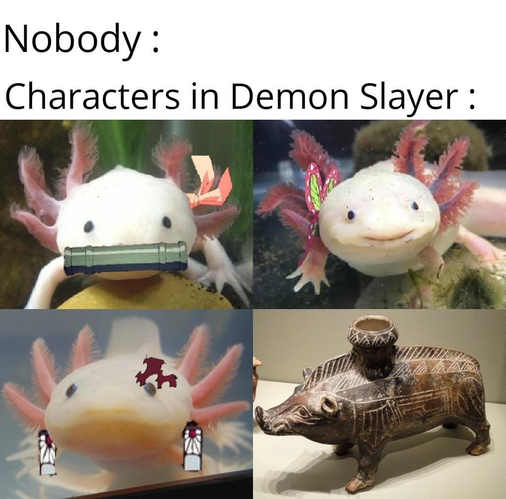 Axolotl Nezuko | r/Animemes | Axolotl | Know Your Meme