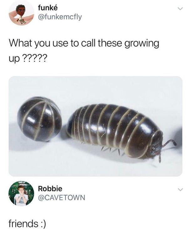 Rolly Polly friends! | r/wholesomememes | Wholesome Memes | Know Your Meme