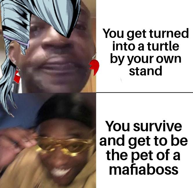 Turtle man Polnareff | /r/ShitPostCrusaders/ | JoJo's Bizarre Adventure ...