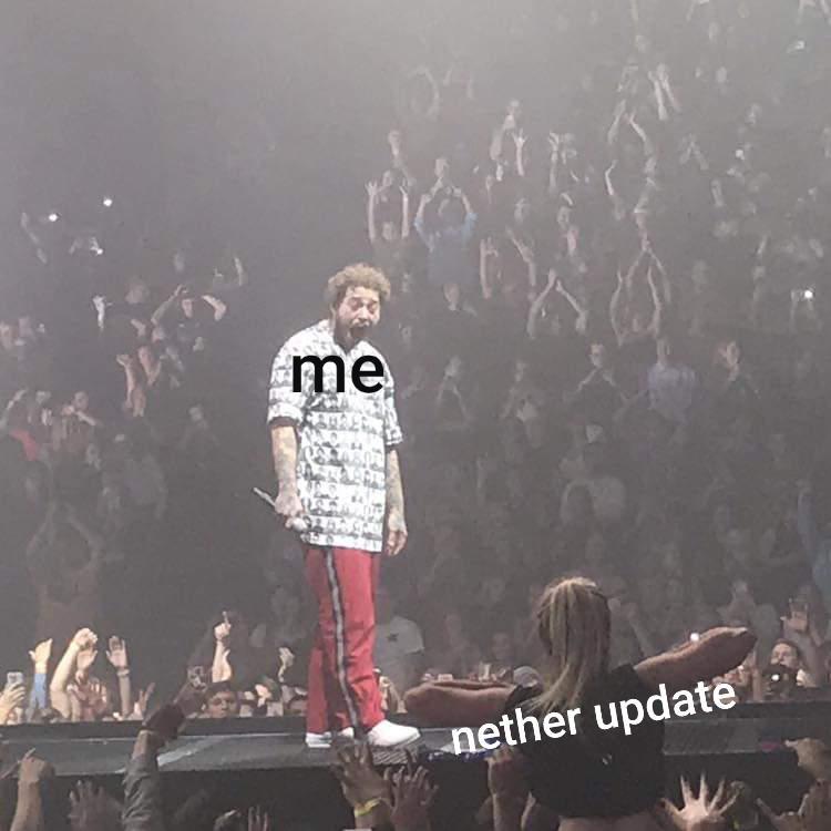 nether update | Woman Flashing Post Malone | Know Your Meme