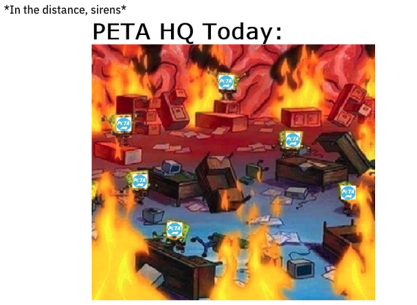 PETA | In the Distance, Sirens | Know Your Meme