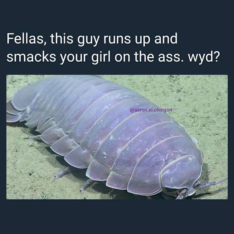 Real Isopod Hours @aaron.el.chingon | Isopods | Know Your Meme