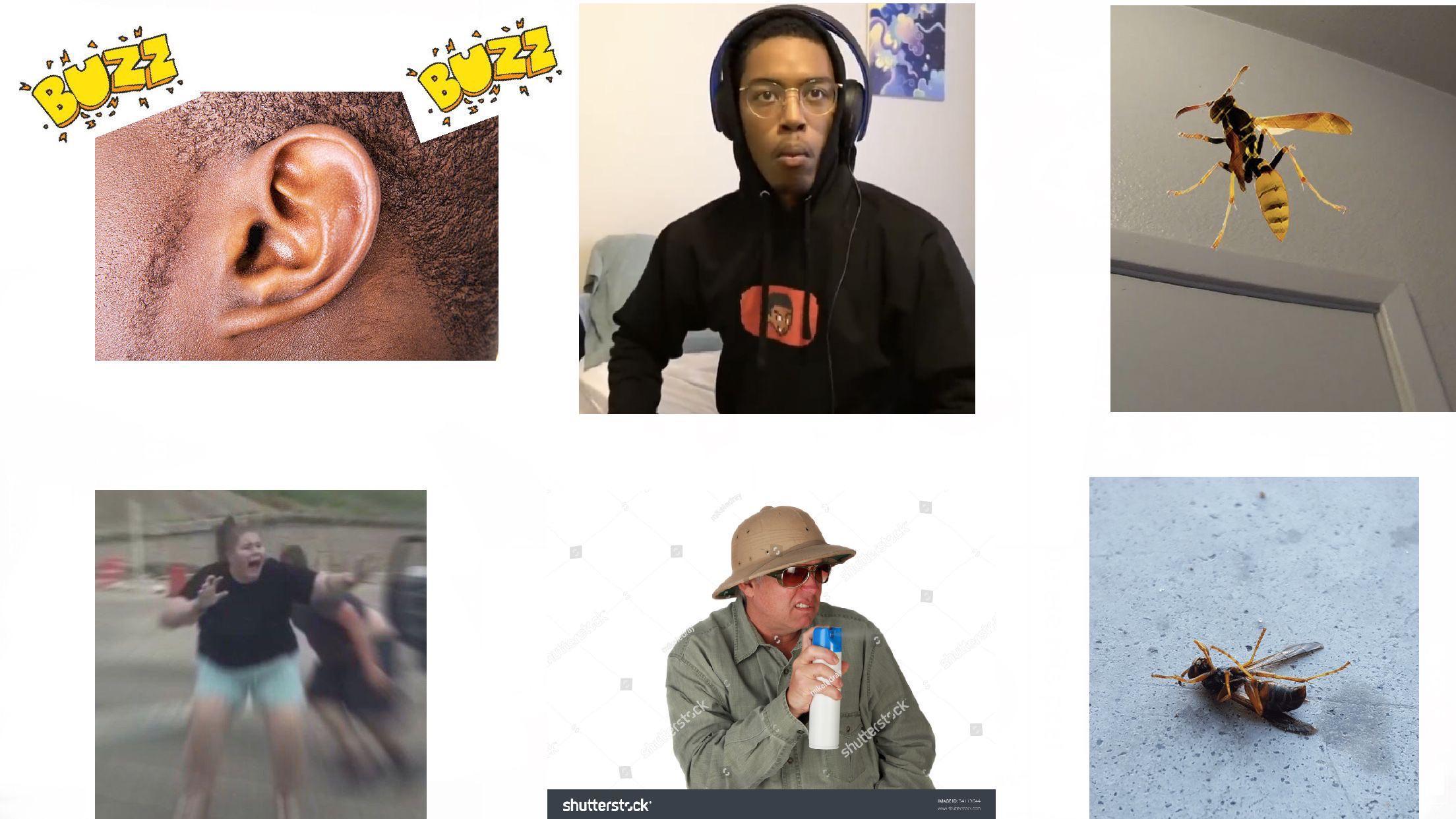 A-wasp-flying-into-my-room-starterpack | r/starterpacks | Starter Packs ...