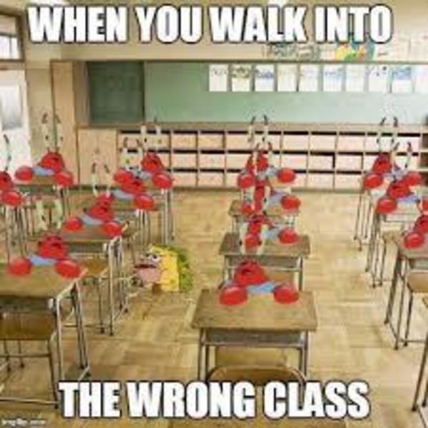 Class | r/BikiniBottomTwitter | SpongeBob SquarePants | Know Your Meme