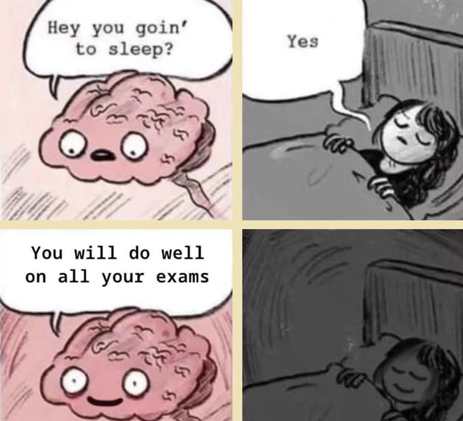 feeling good with brain and 15 other organs | r/wholesomememes ...