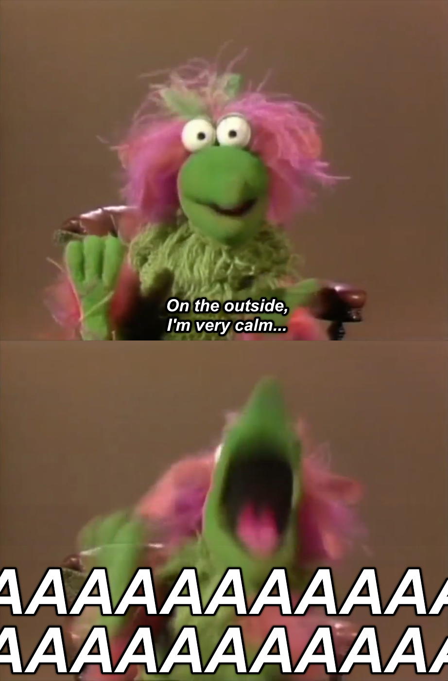 anxiety.jpg | The Muppets | Know Your Meme