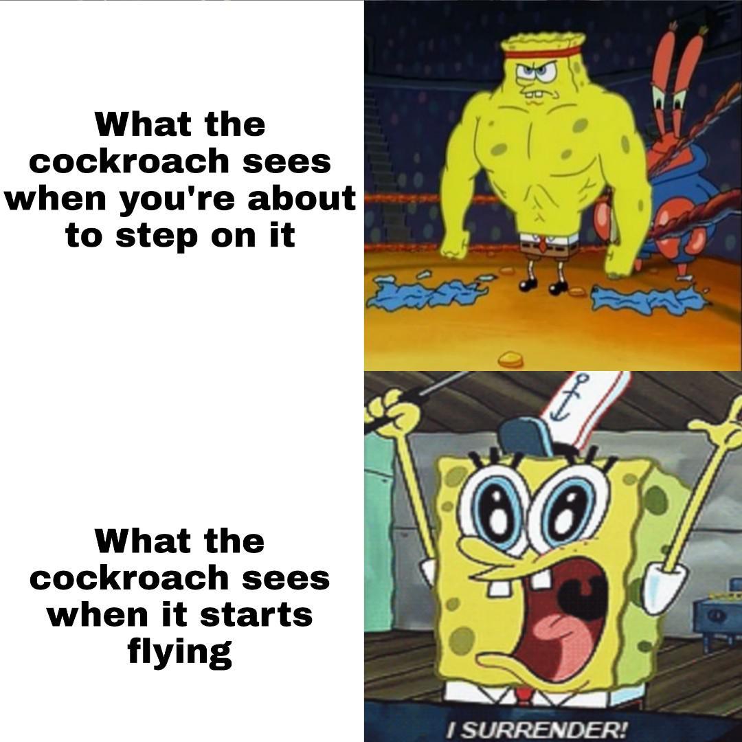 Really be like that | /r/BikiniBottomTwitter | SpongeBob SquarePants ...