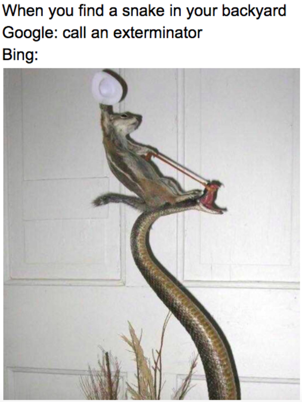 Yee'd Your Last Haw | Google vs. Bing | Know Your Meme