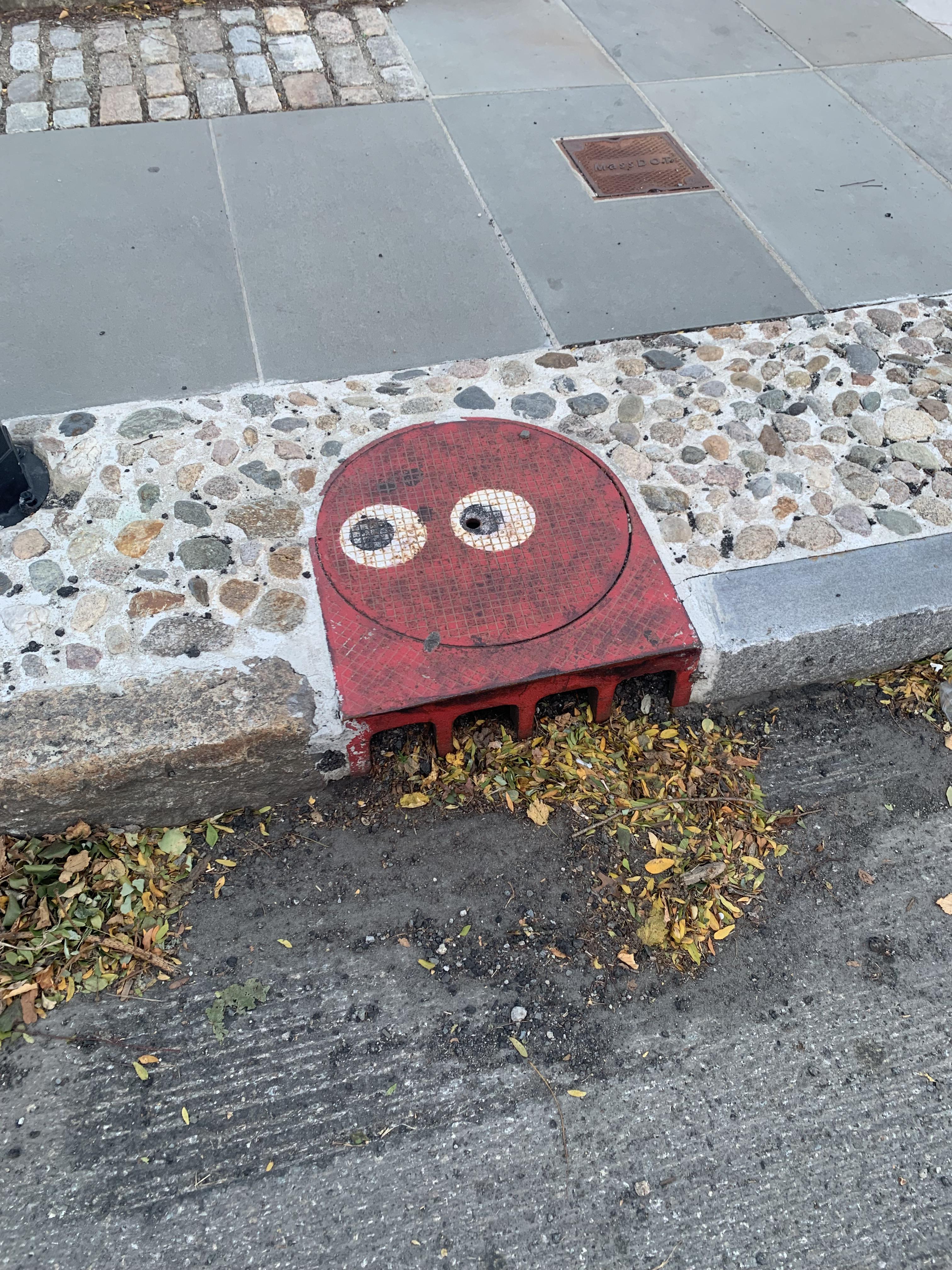 This storm drain in my city. | /r/mildlyinteresting | Mildly ...