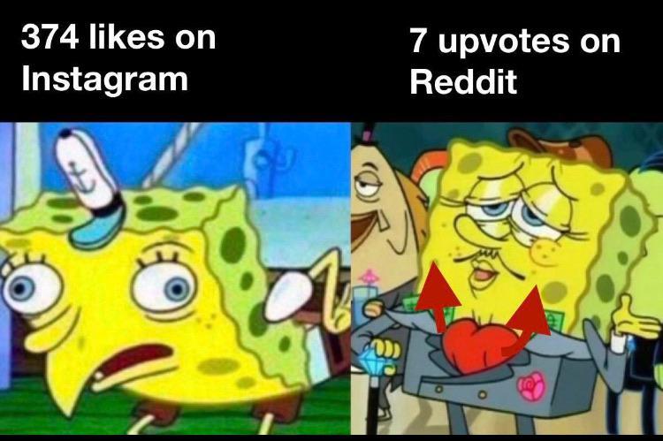 Reddit is the best | /r/BikiniBottomTwitter | SpongeBob SquarePants ...