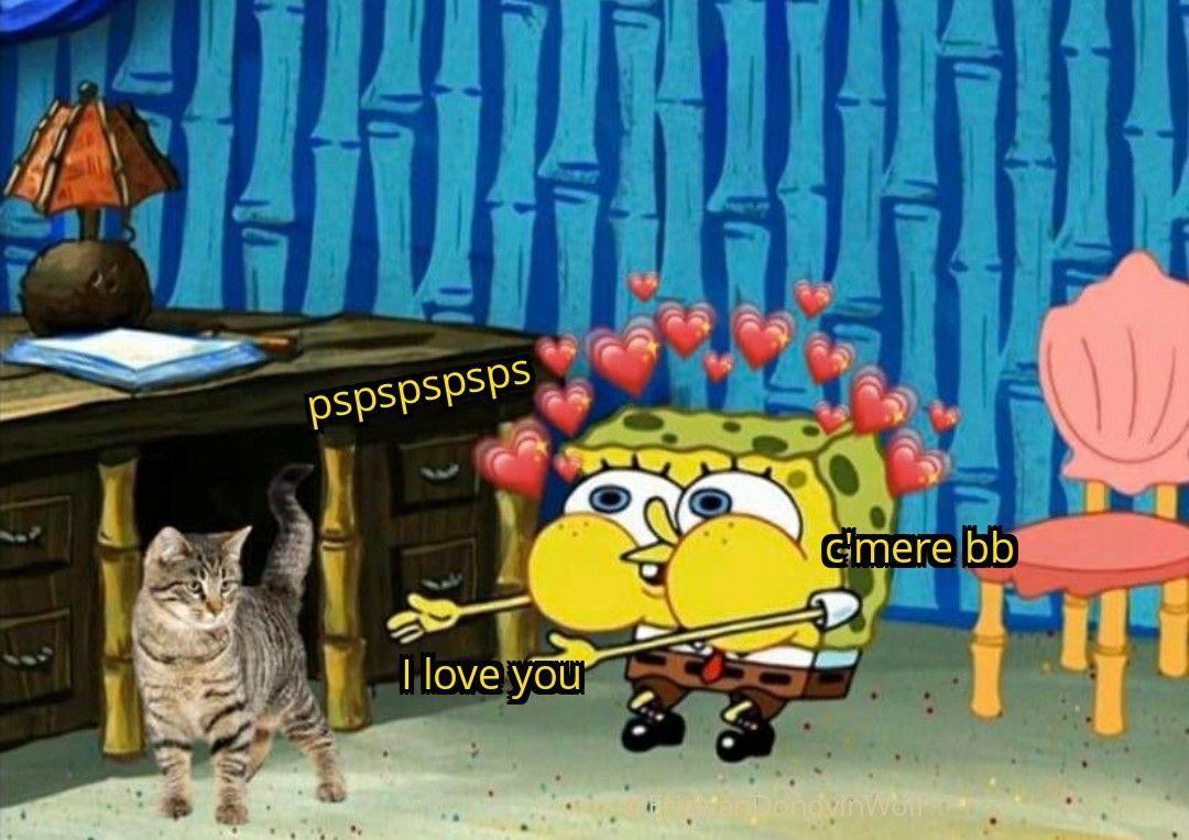 Me when I see a stray cat that looks like it has rabies on the side of ...