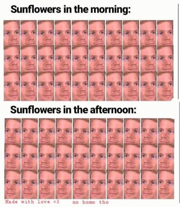 Sunflower.exe | /r/MinecraftMemes | Minecraft | Know Your Meme