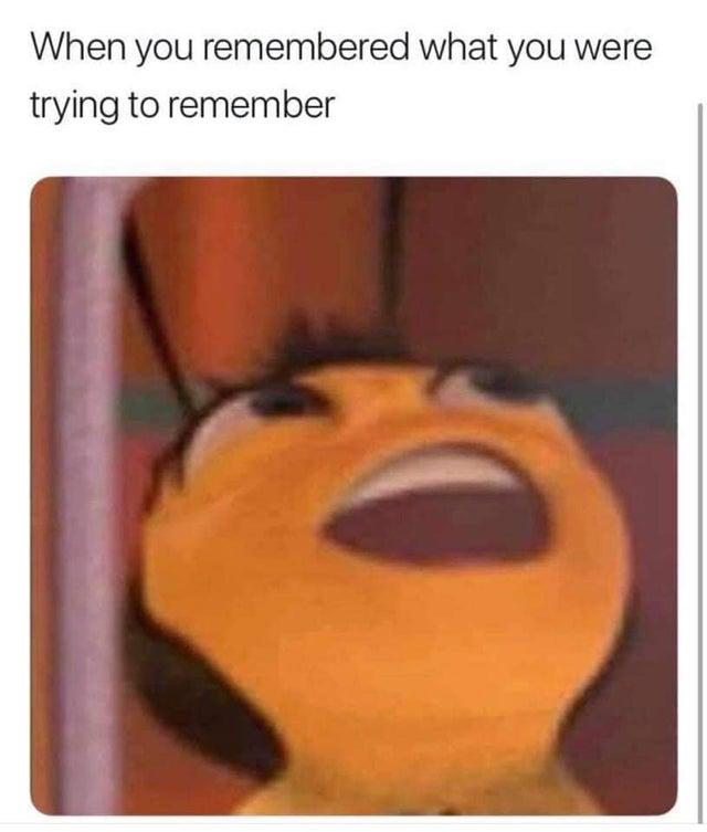 Bee Movie Memes