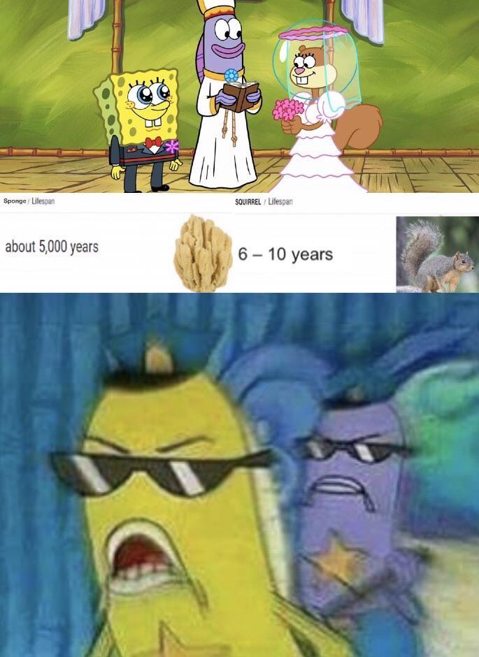 Uh oh | /r/BikiniBottomTwitter | SpongeBob SquarePants | Know Your Meme