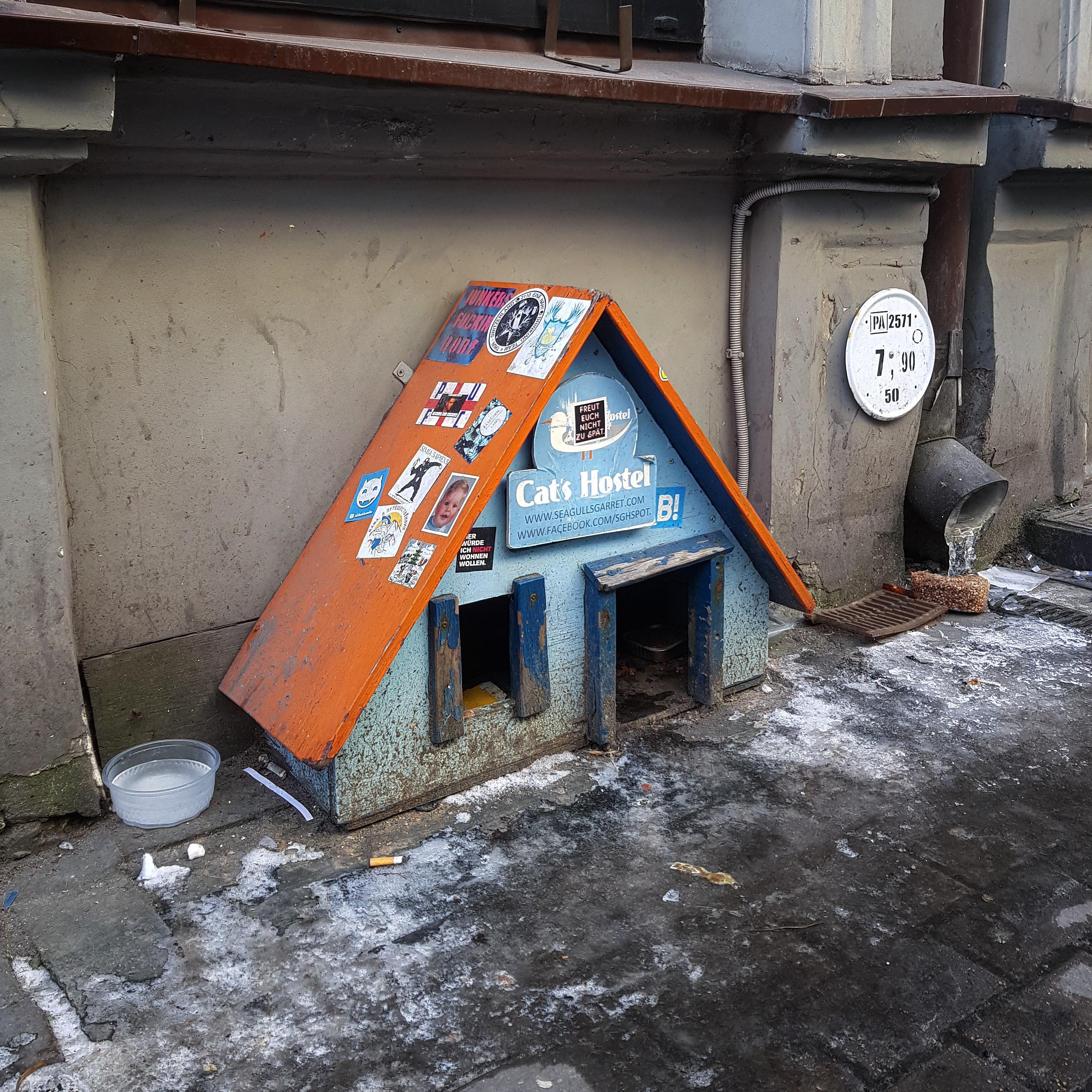 This cat's hostel in Riga. | /r/mildlyinteresting | Mildly Interesting ...