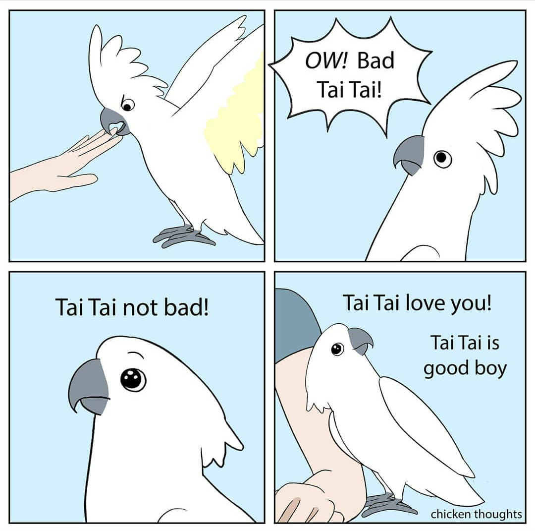 Tai Tai is a good boi | /r/wholesomememes | Wholesome Memes | Know Your ...