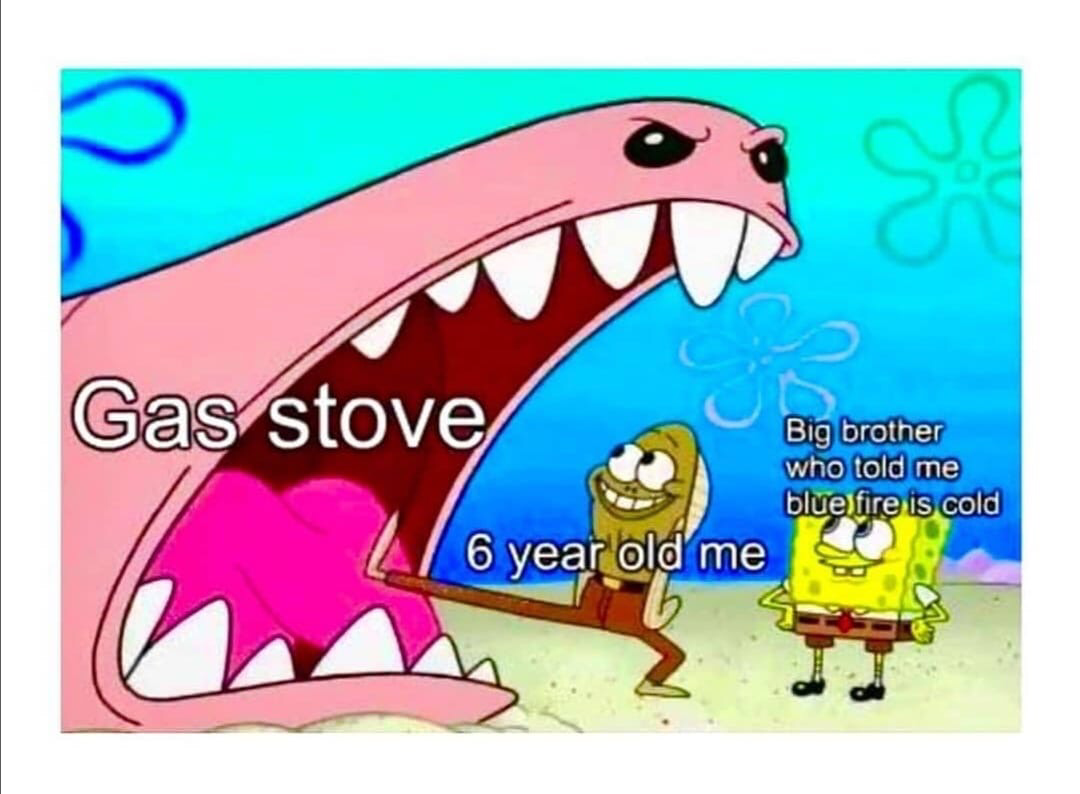 Dammit brother | /r/BikiniBottomTwitter | SpongeBob SquarePants | Know ...