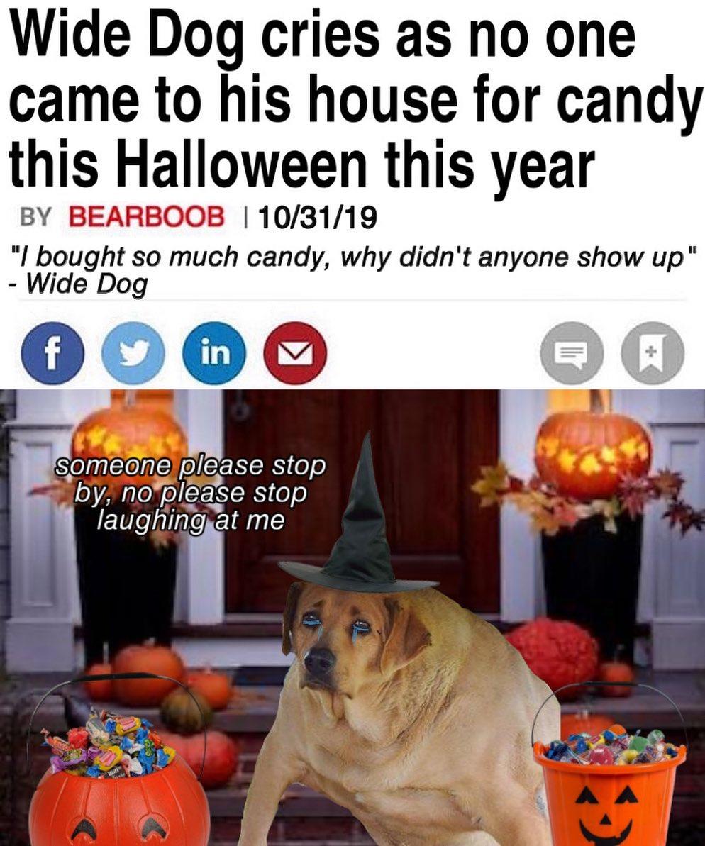 Wide Dog Cries As No One Came to His House for Candy This Halloween ...
