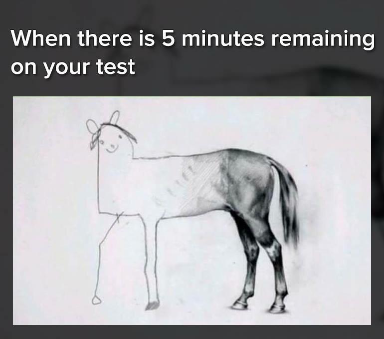 When there is 5 minutes remainig on your test | Unfinished Horse ...