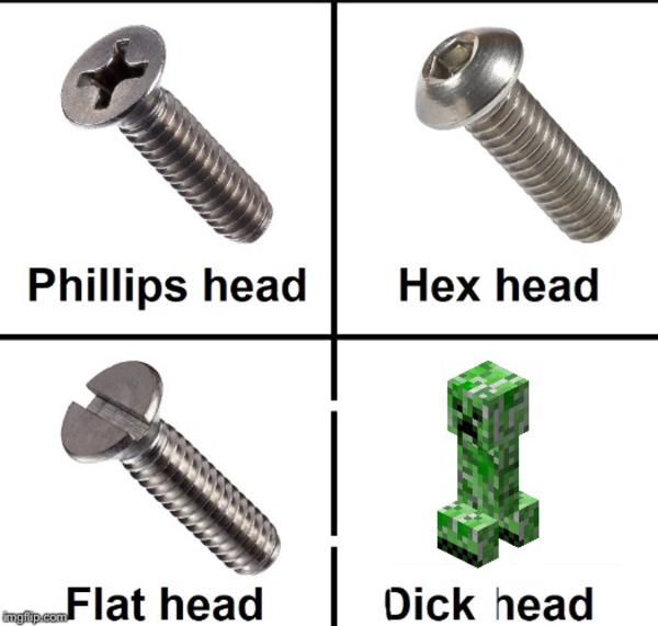 Screws | /r/MinecraftMemes | Minecraft | Know Your Meme