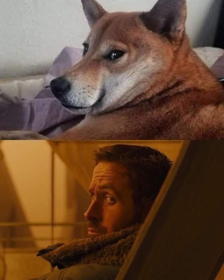 Looks Familiar | Blade Runner | Know Your Meme