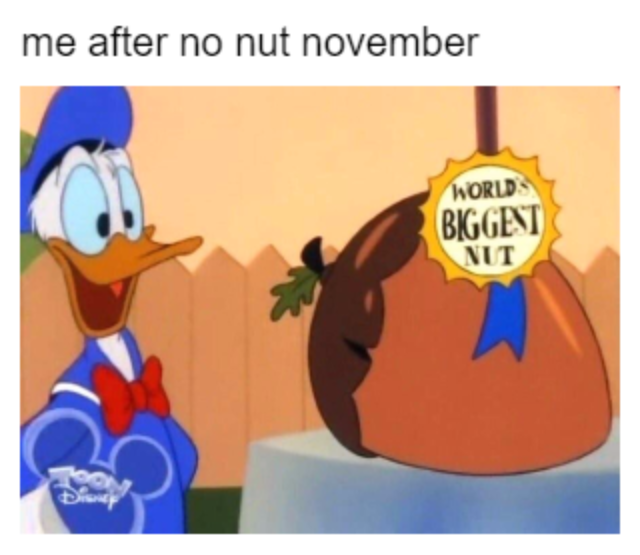 It has begun | /r/memes | World's Biggest Nut | Know Your Meme