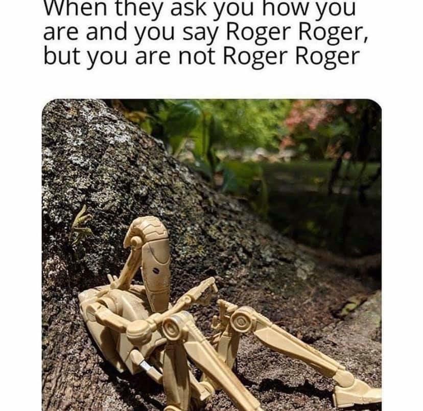 You just have to say that you're roger roger | /r/PrequelMemes ...