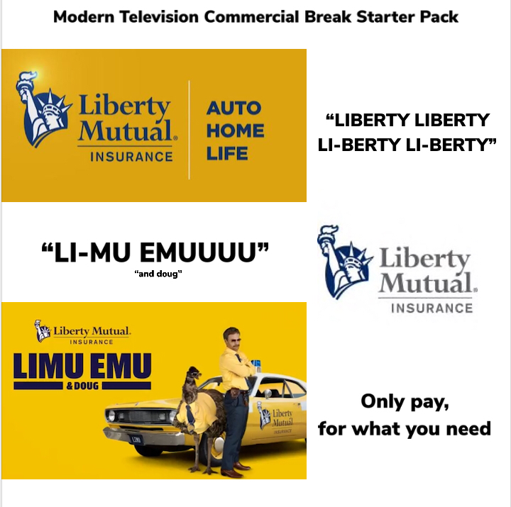 Modern Television Commercial Break starter pack | /r/starterpacks ...
