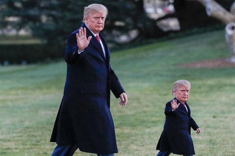Mini Trump | Donald Trump | Know Your Meme