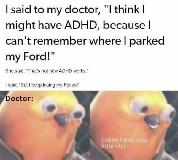 Funny Ford Focus | /r/ComedyCemetery | Comedy Cemetery | Know Your Meme