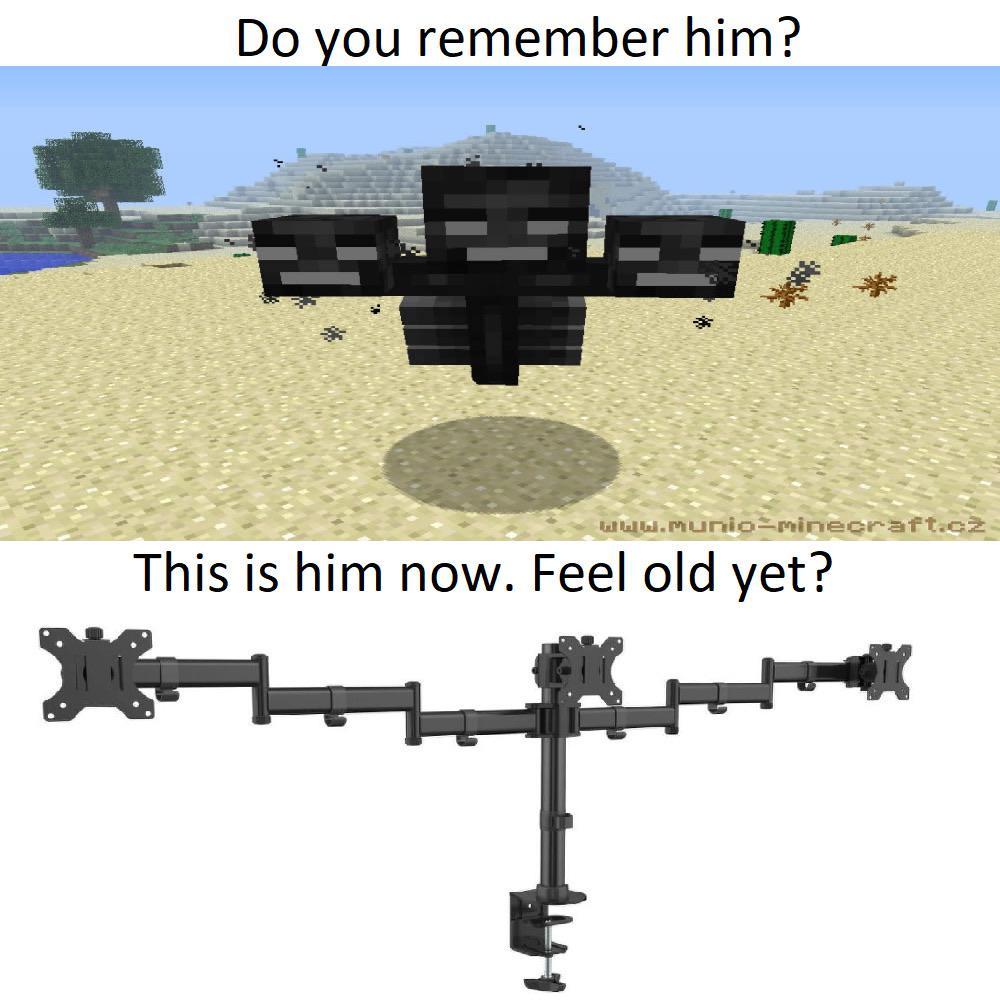 Wither mount. | /r/MinecraftMemes | Minecraft | Know Your Meme